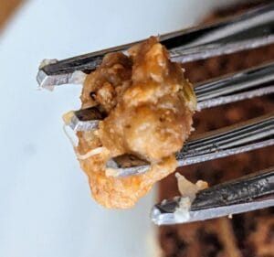 Aldi Calzone (Mama Cozzi’s) Review • Snarkle-Sauce on Wry